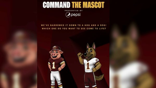 Commanders Clash With Hogs Over New Mascot Possibilities Trademark Nbc4 Washington