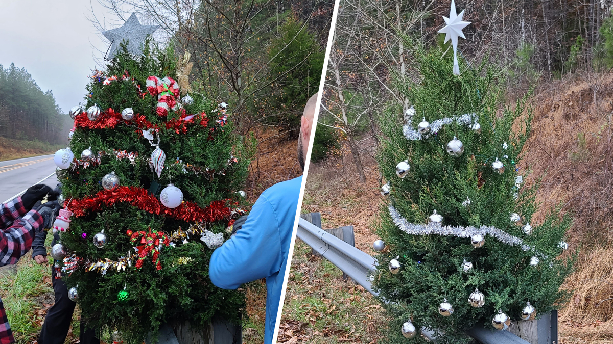 A Family Decorated a Roadside Tree for Christmas. After It Was Cut Down ...