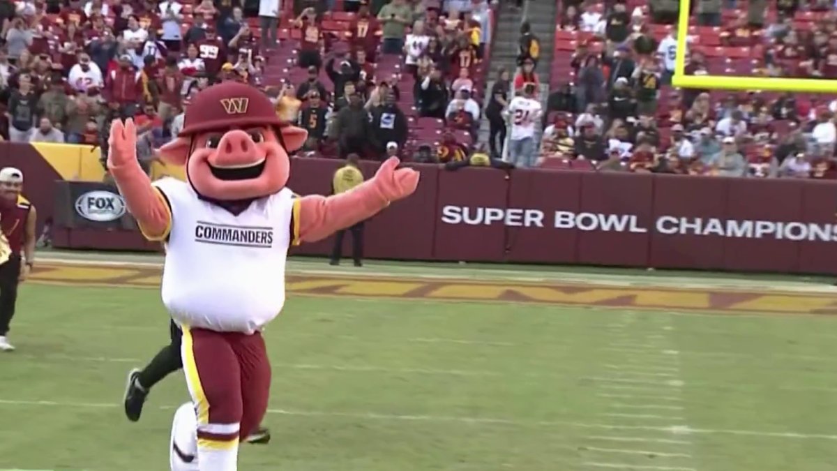 Commanders Unveil New Mascot ‘major Tuddy Nbc4 Washington