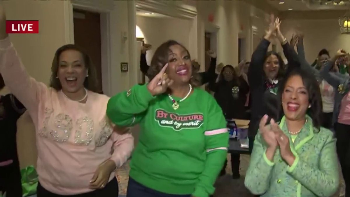 Celebrating Sisterhood and Community: AKA Marks Founders’ Day in DC – NBC4 Washington