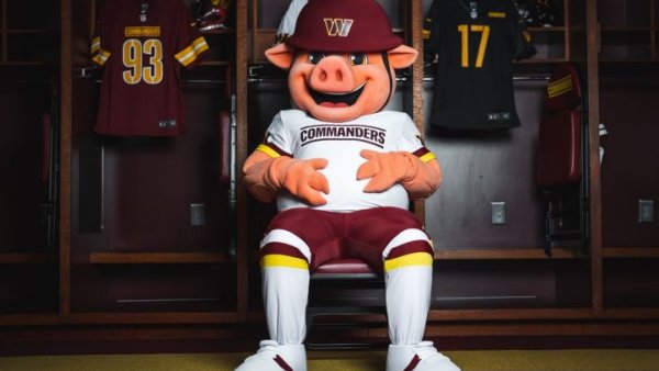 Meet Major Tuddy, the Washington Commanders’ New Mascot – NBC4 Washington