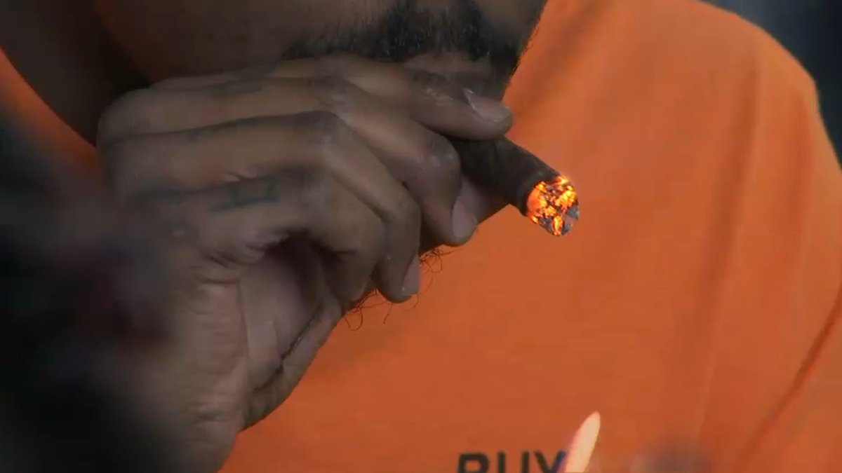 Volunteers Get High to Demonstrate Marijuana Impairment for Police ...