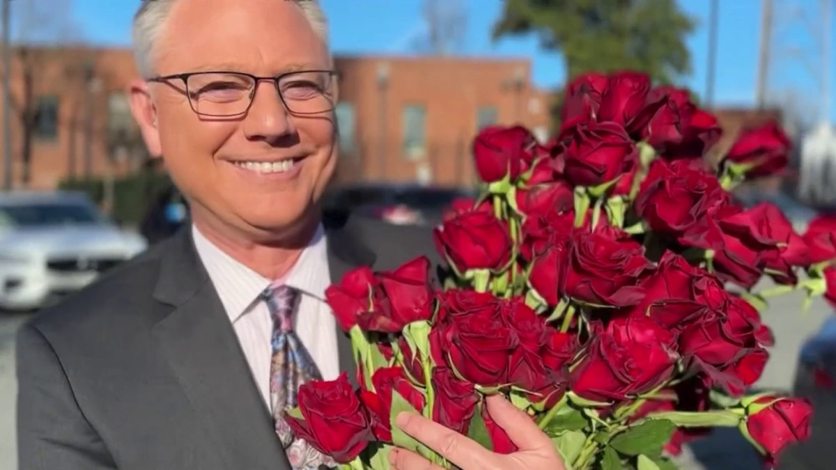 What is Love? News4 Reporters Share Their Answers – NBC4 Washington