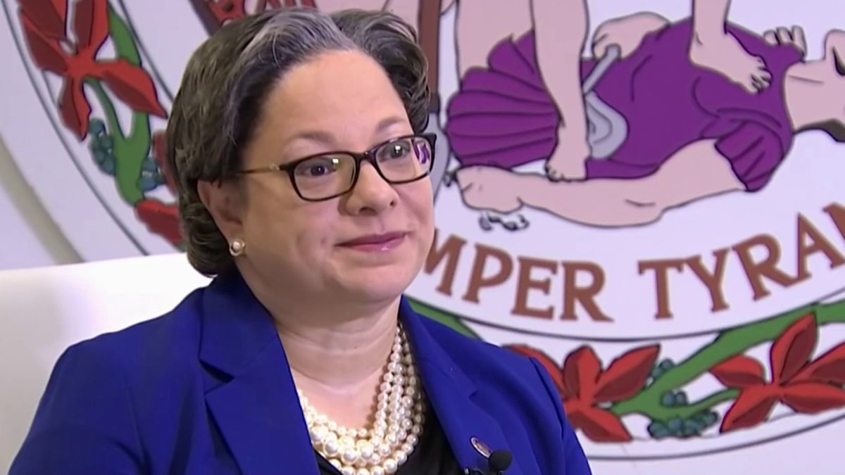 Jennifer McClellan Becomes Virginia’s 1st Black Congresswoman – NBC4 ...