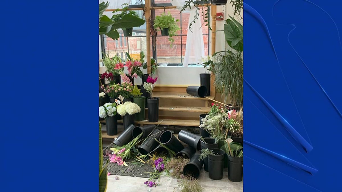 DC Flower Shop Vandalized Just Days Before Valentine’s Day – NBC4 ...