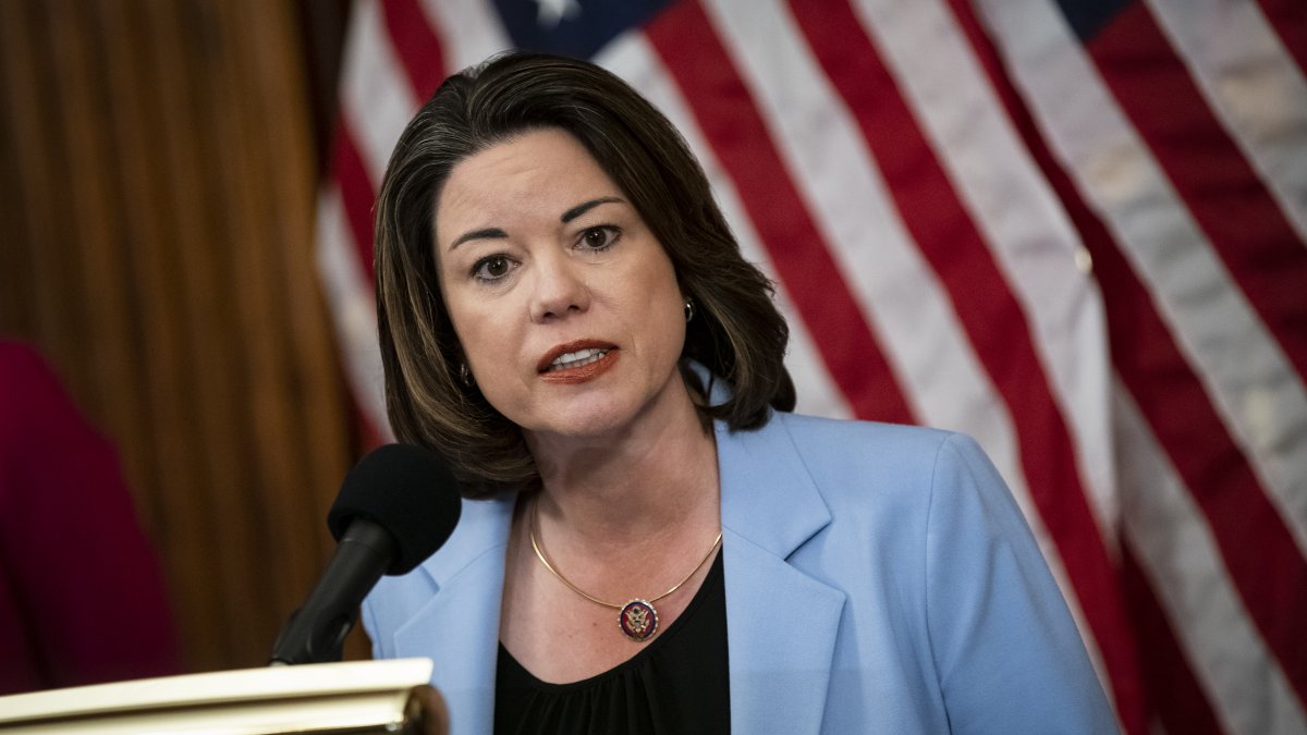 Man Pleads Guilty to Assaulting Rep. Angie Craig of Minnesota in DC Apartment Building – NBC4 ...