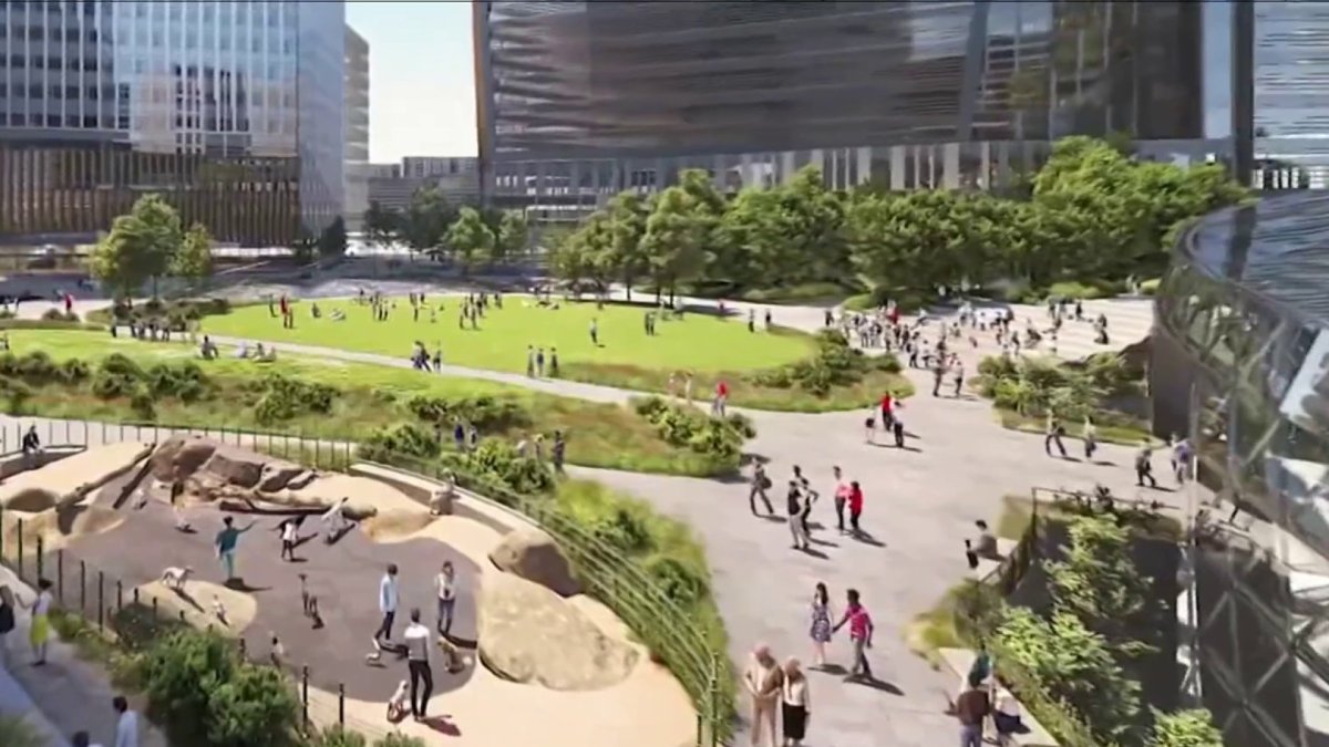 Amazon Pauses Construction on HQ2 in Arlington – NBC4 Washington