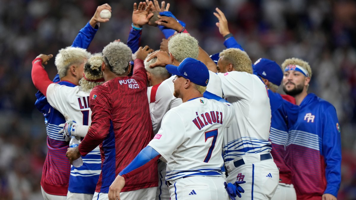 Puerto Rico World Baseball Classic Fans Set Hair-Related World Record ...
