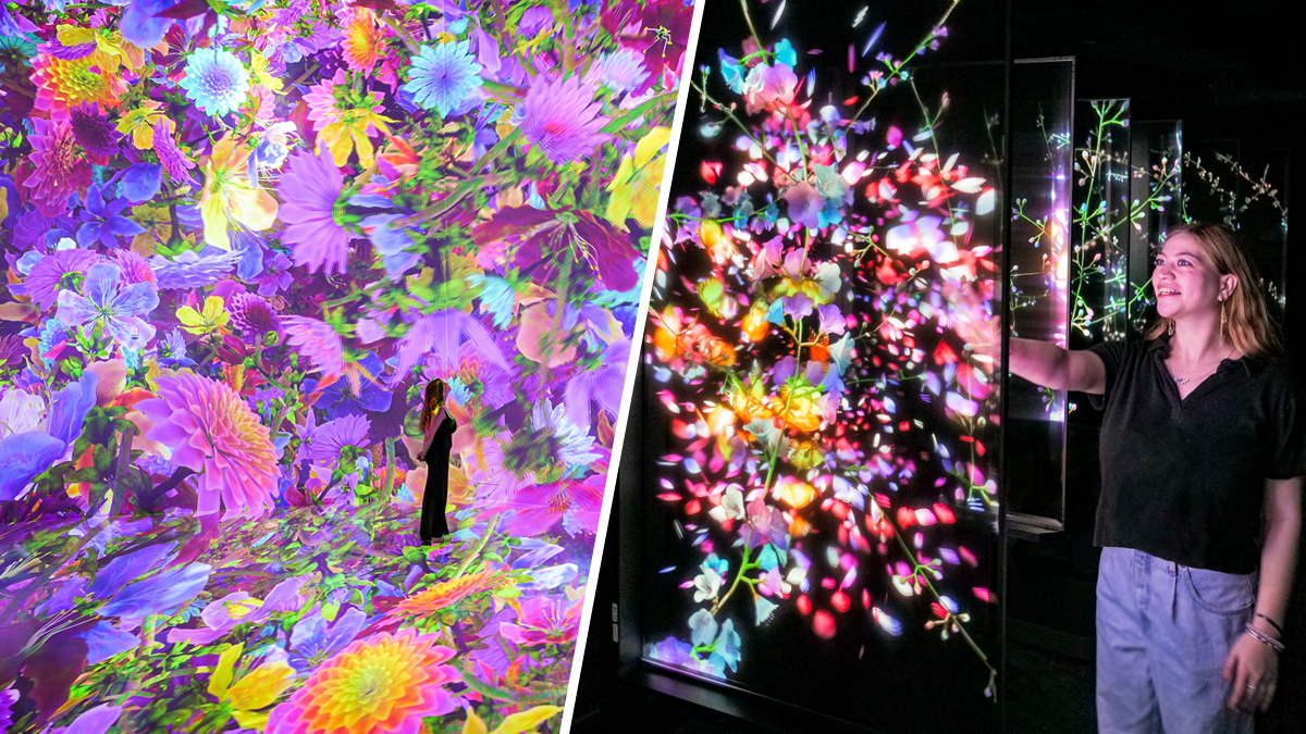 ARTECHOUSE DC Celebrates Cherry Blossoms with New Virtual Exhibition ...