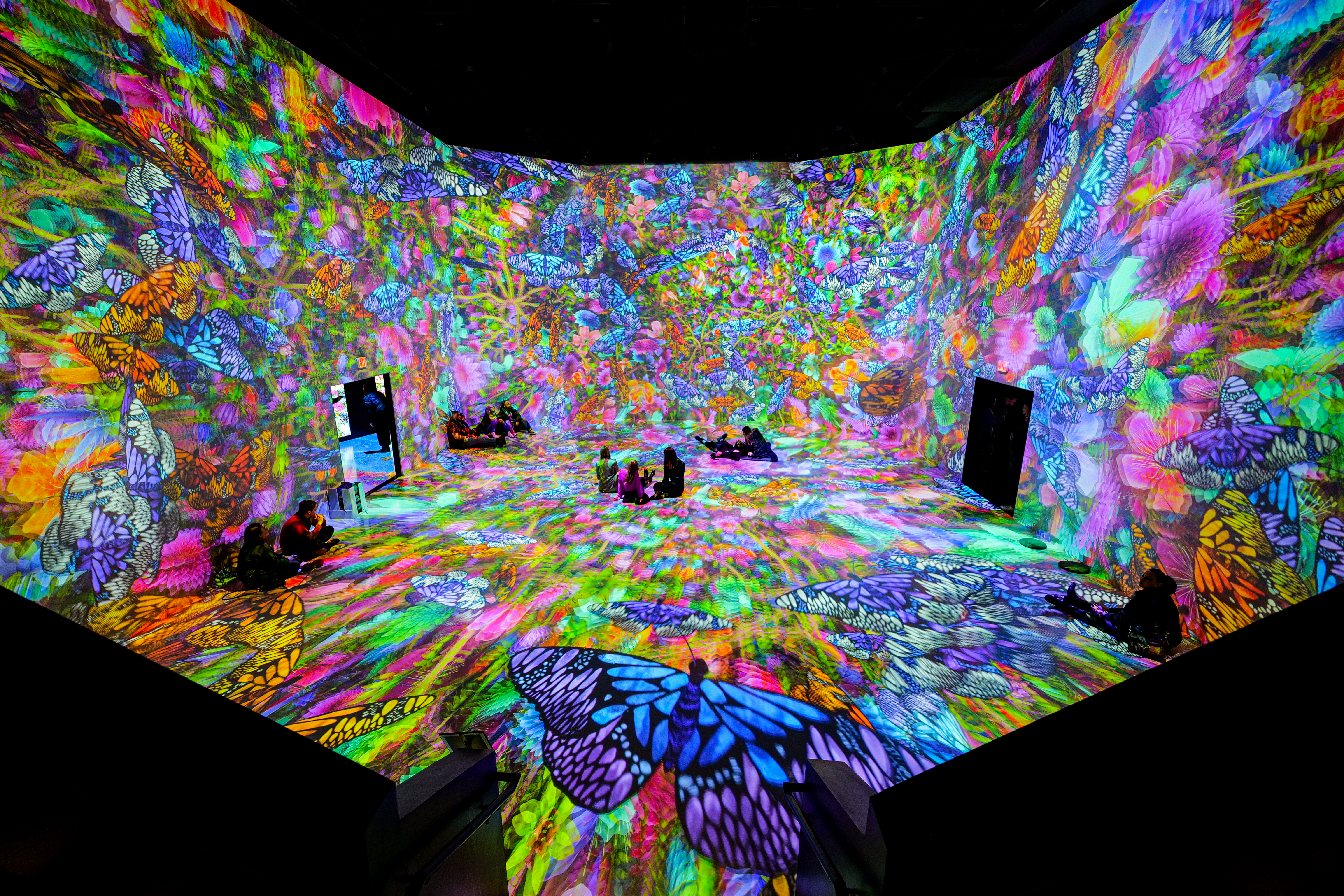 ARTECHOUSE DC Celebrates Cherry Blossoms with New Virtual Exhibition ...