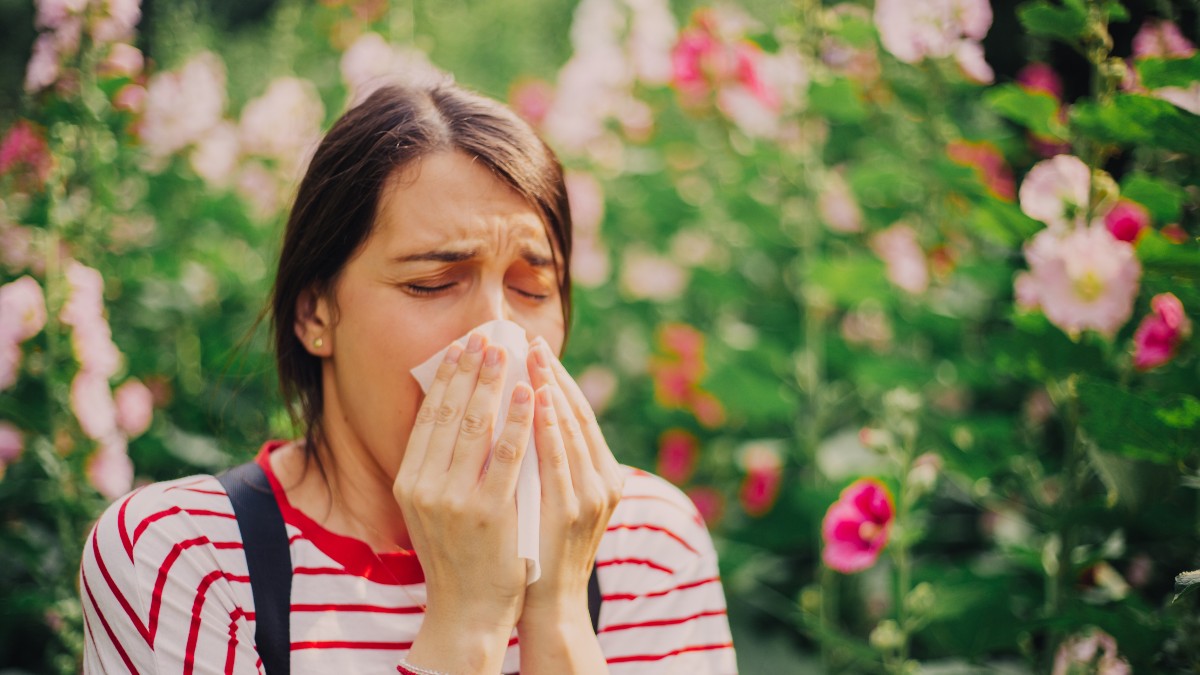 Allergies Vs Colds A Doctor Shares Common Symptoms Nbc4 Washington