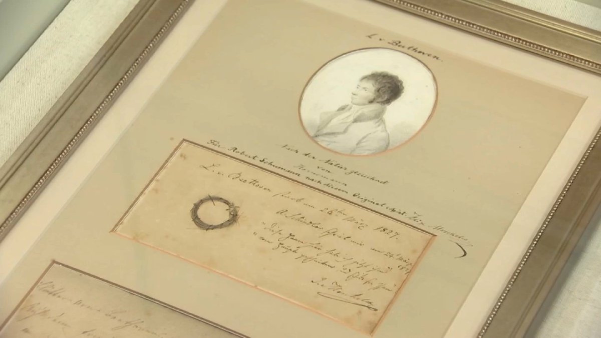 Beethoven’s DNA Unlocks New Secrets About His Life, Death – NBC4 Washington