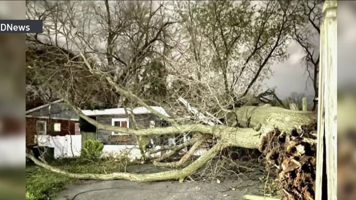 Saturday Rain, High Wind Cause Outages, Event Cancellations Across DC ...