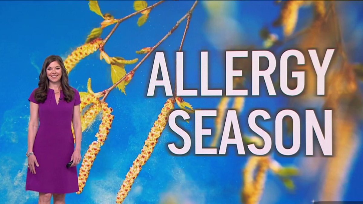 How DC’s Pollen Count is Impacting Allergy Season – NBC4 Washington