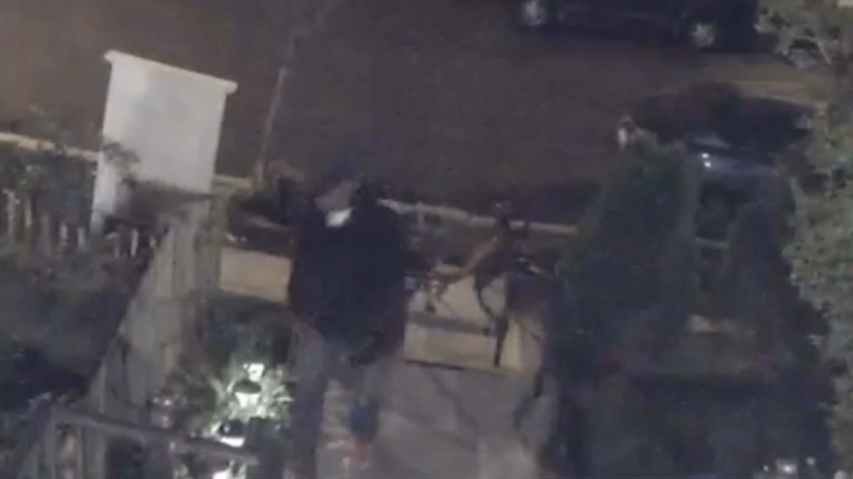 DC Woman Says Man Sold Her Plants, Stole Them Hours Later – NBC4 Washington