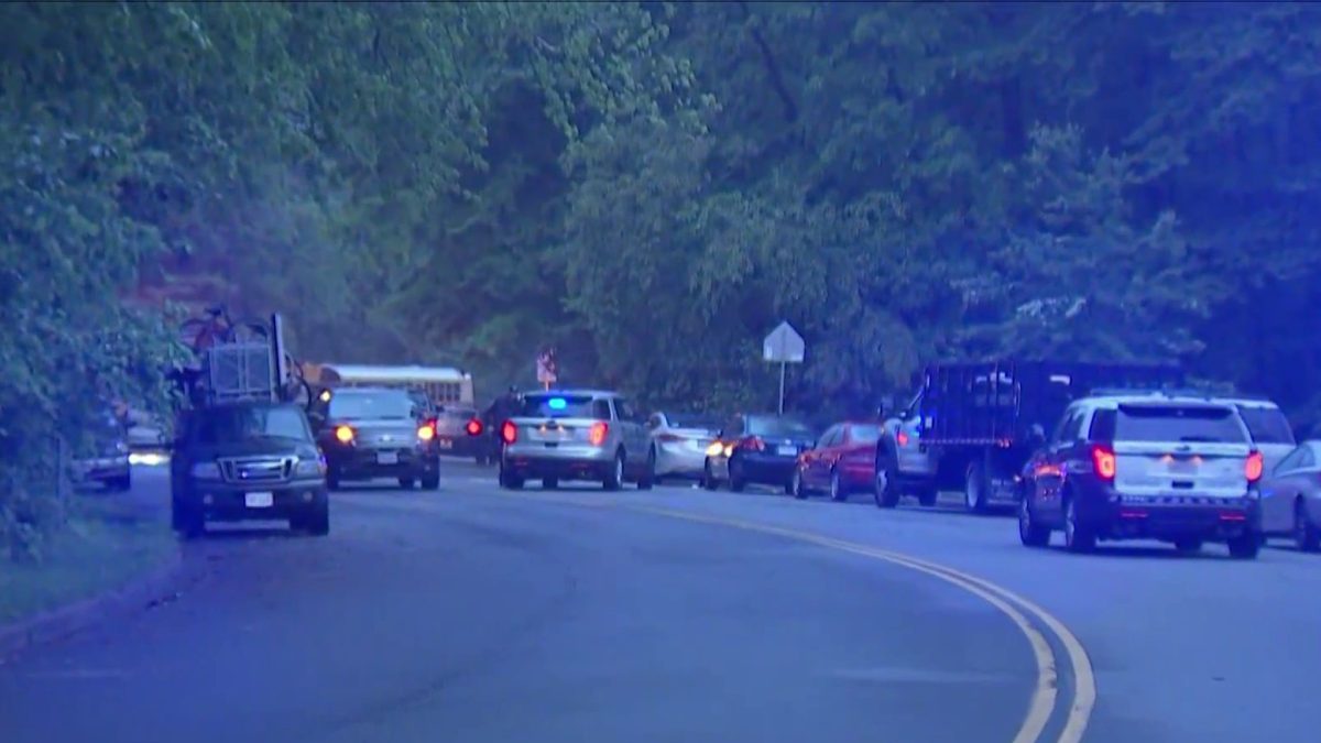 Fire Engine Responding to 911 Call Hits, Kills Woman in Reston: Police ...