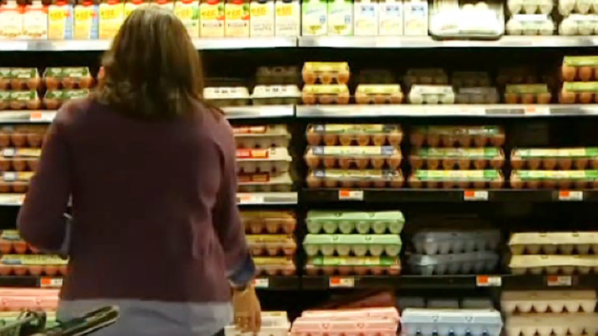 Which Eggs Are Best? Egg Labels Explained – NBC4 Washington