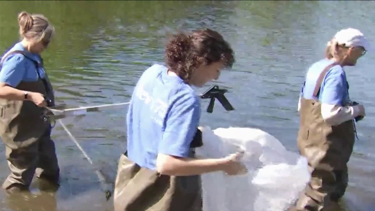 Volunteers Clean Up National Parks – NBC4 Washington