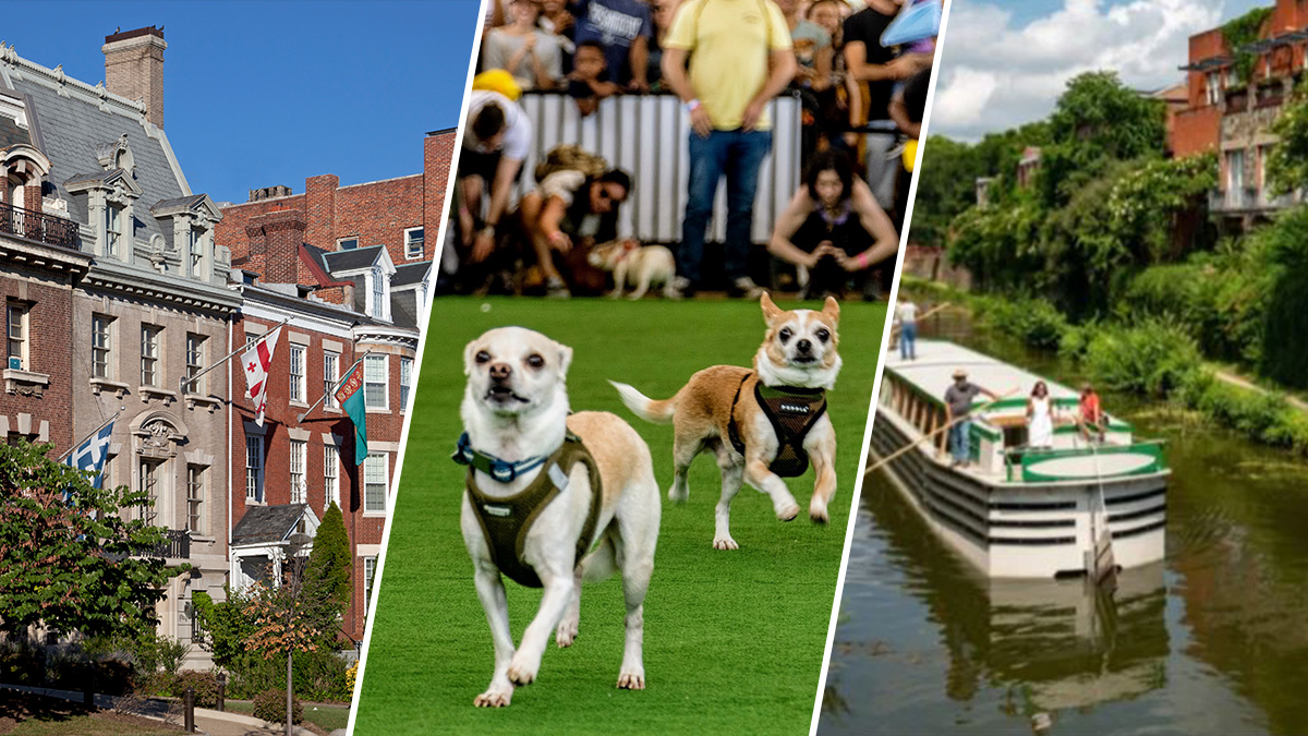 The Weekend Scene: What to Do Around Washington DC May 5-7 – NBC4 ...