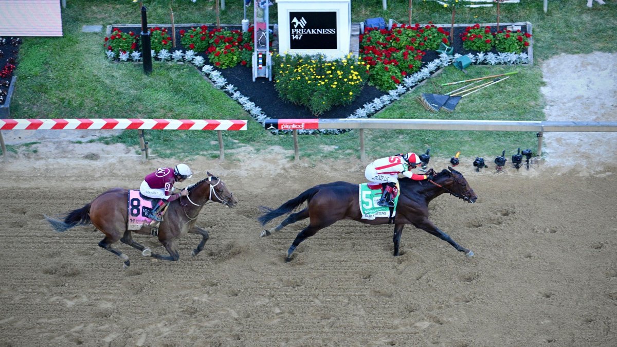 How Much Does the Preakness Stakes Winner Earn? – NBC4 Washington