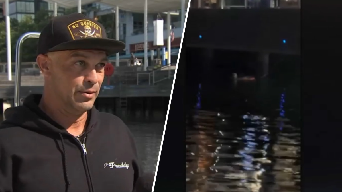Captain Leaps Into Water to Rescue Man at the Wharf – NBC4 Washington