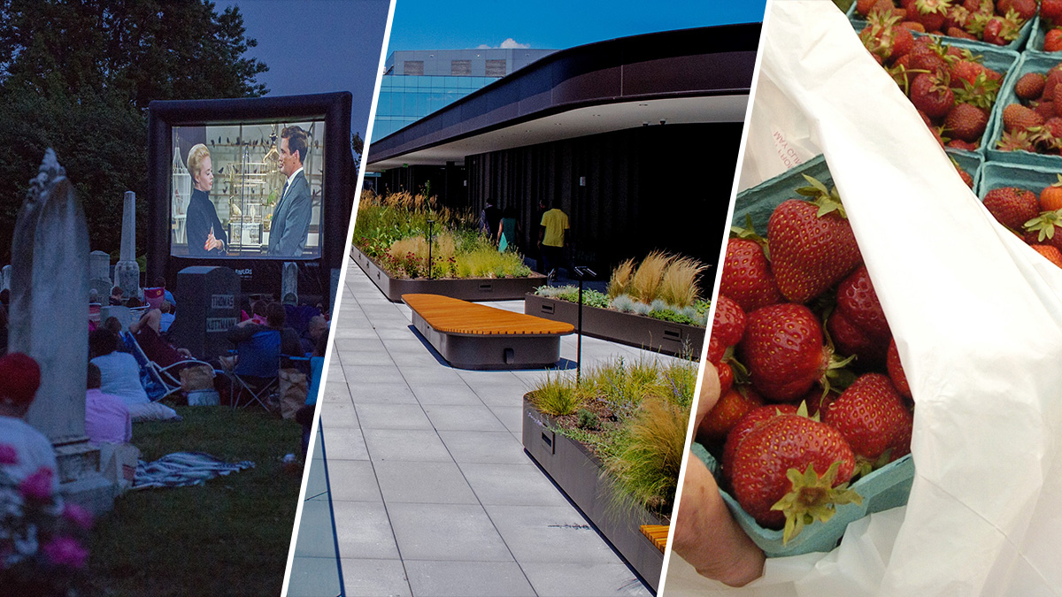 Things to Do in DC This Weekend: Carnival, Strawberry Fest, Pride ...