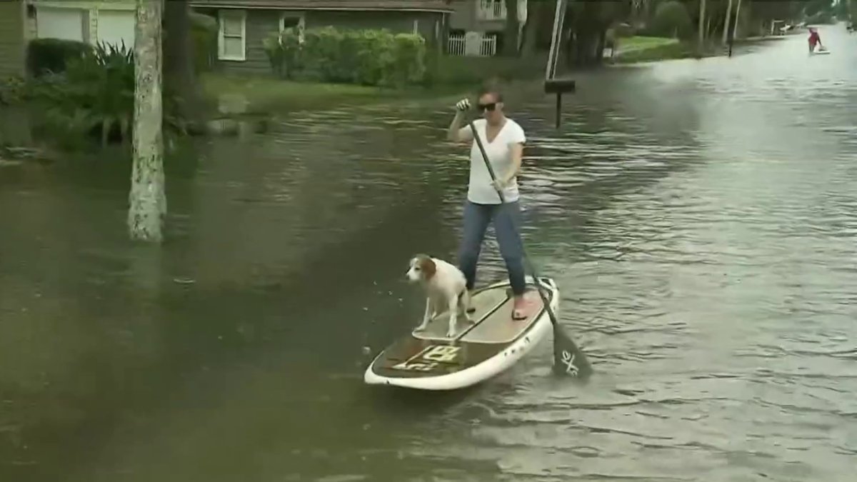 Tropical Storm Idalia heads north: The News4 Rundown – NBC4 Washington