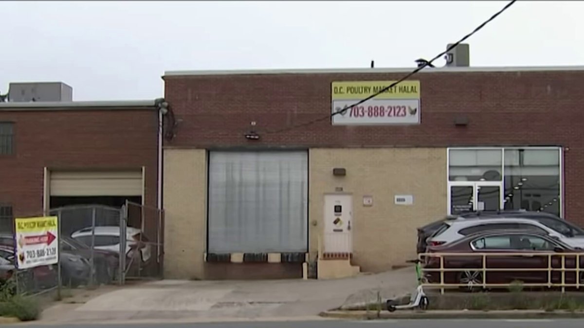 Alexandria slaughterhouse with permit to sell chicken and birds accused ...