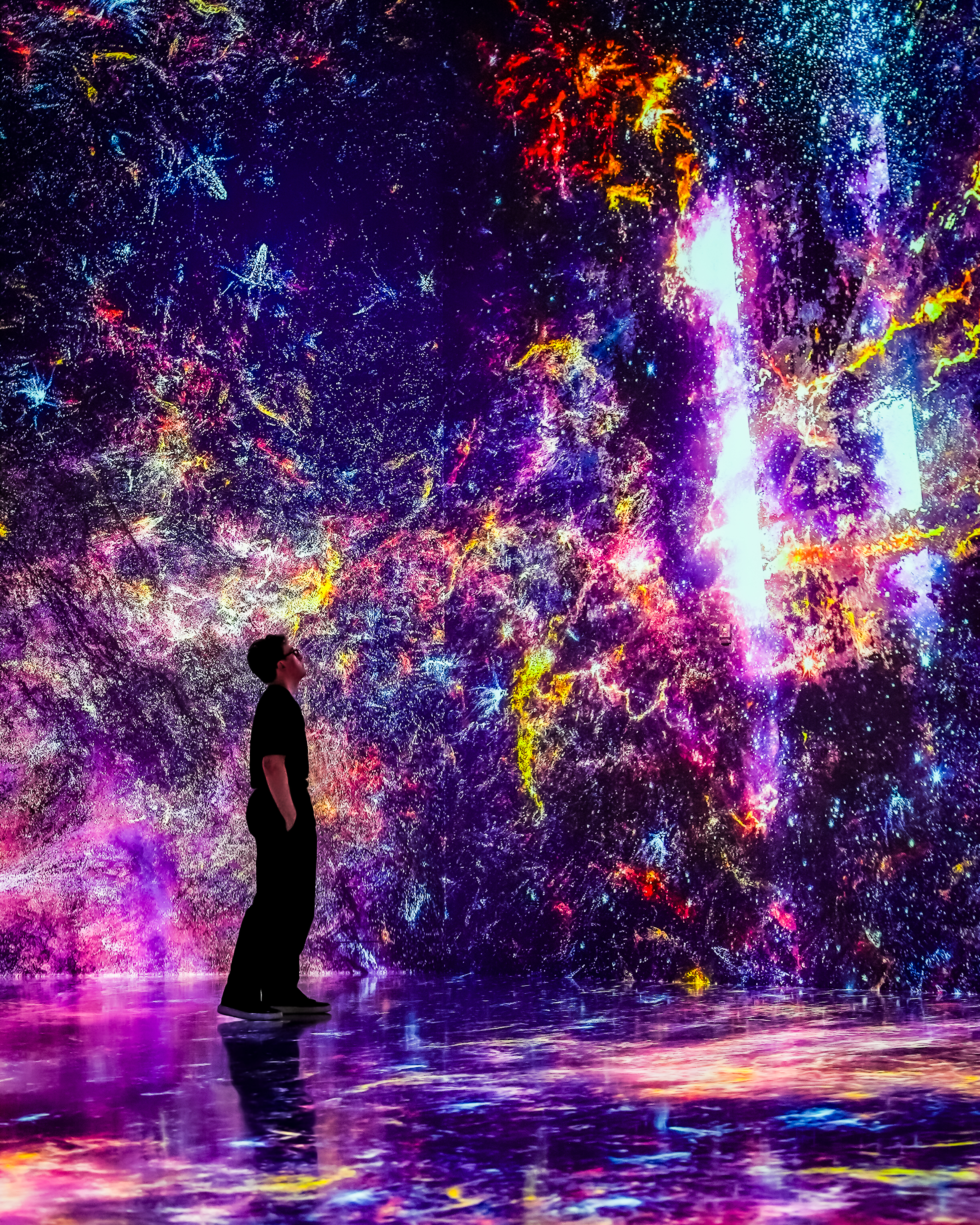 How to visit ARTECHOUSE DC’s ‘Beyond the Light’ exhibit – NBC4 Washington