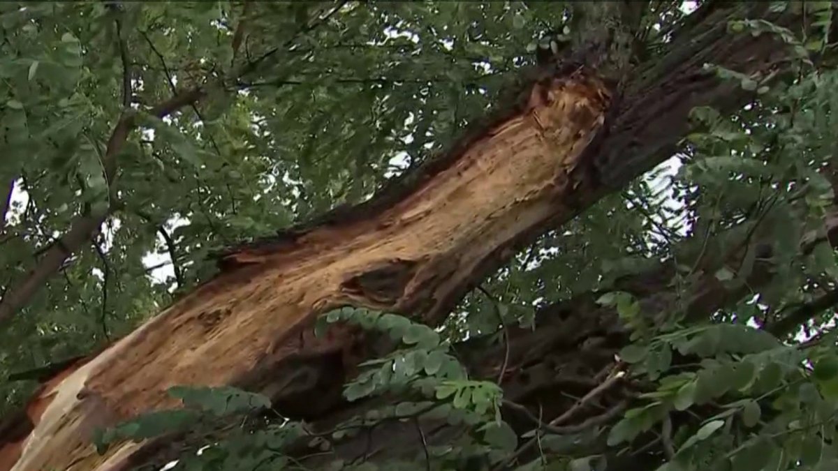 DC storms: Fast-moving storms topple trees & cut power; ‘lightning ...