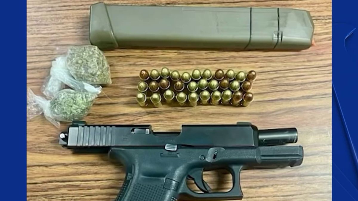 Student arrested after loaded gun, drugs found at Landover high school ...