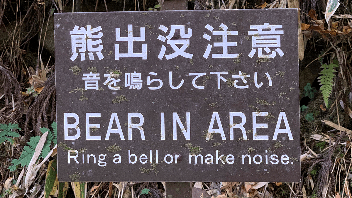 3 bears captured after sneaking into tatami factory in Japan – NBC4 ...