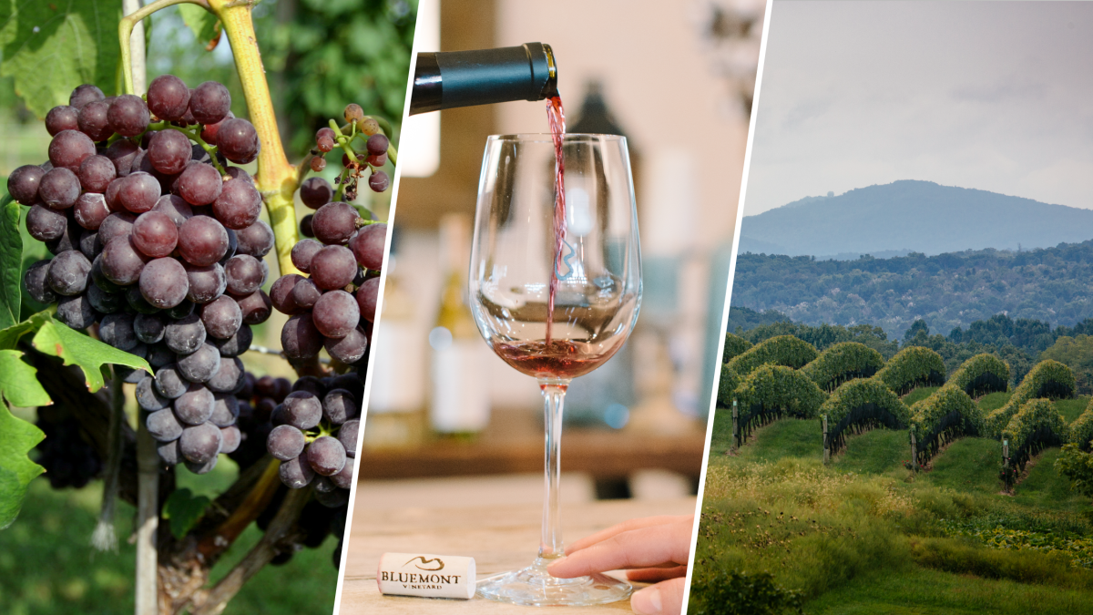 A guide to Virginia’s wineries to celebrate VA’s wine month – NBC4 ...