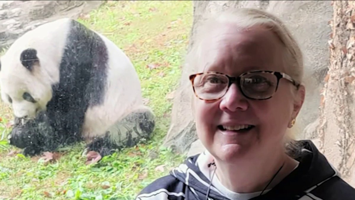 Panda lover shares passion for National Zoo pandas – NBC4 Washington