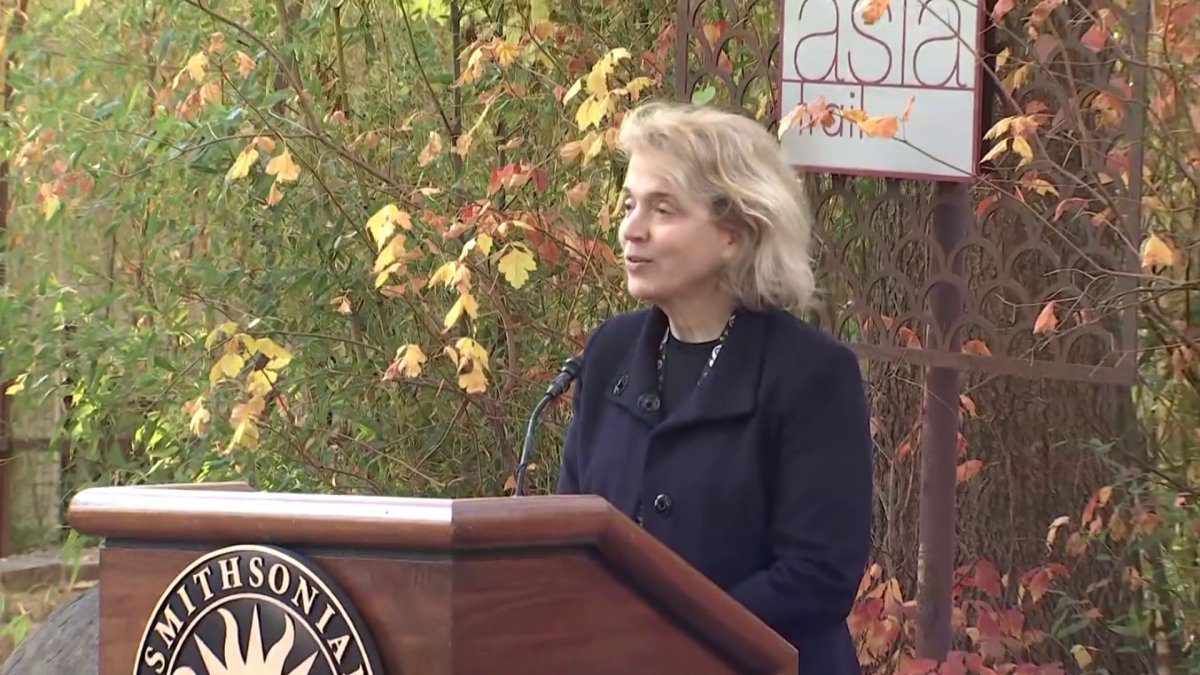 ‘Future is bright for giant pandas’: National Zoo director on pandas ...