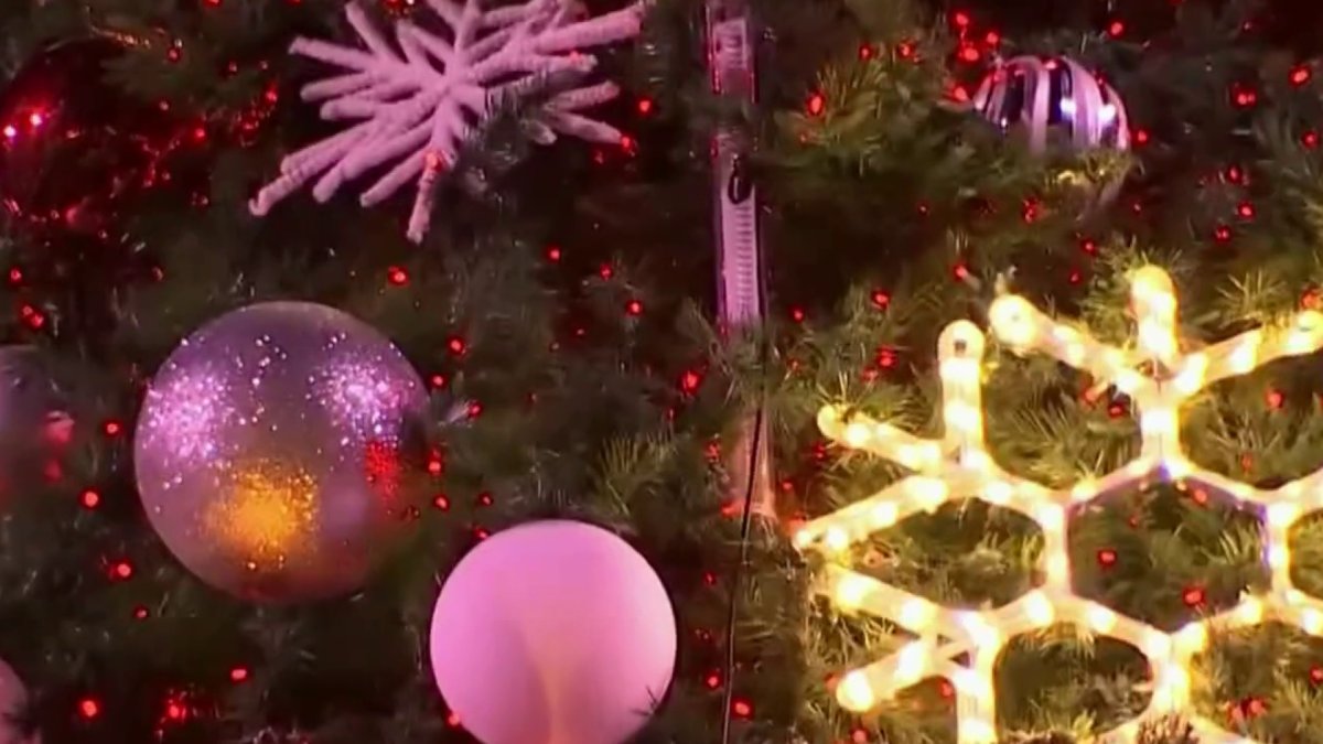 The Weekend Scene, Nov. 24 – 26 – NBC4 Washington