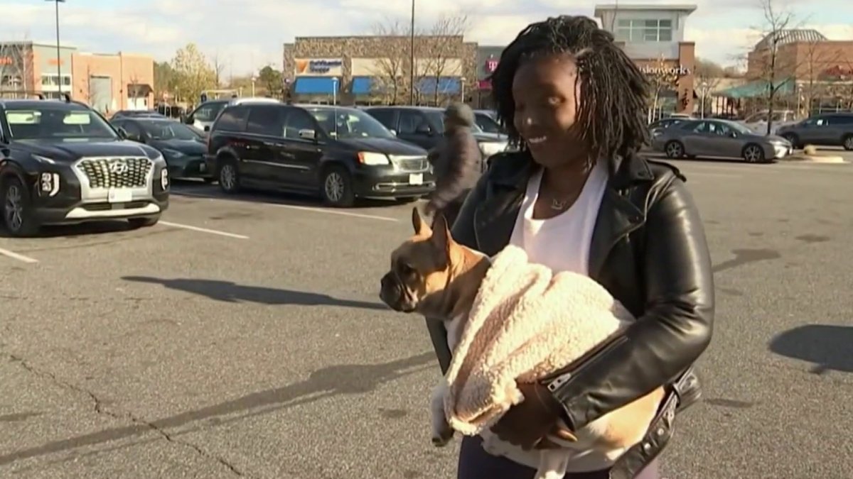‘Cuddled up in my arms’: Woman reunited with stolen puppy after ransom ...