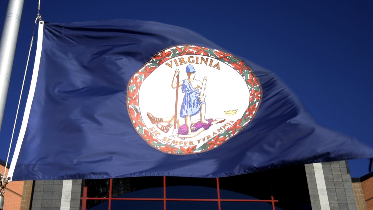 Virginia Democrats lost in several key swing districts. So how did they ...