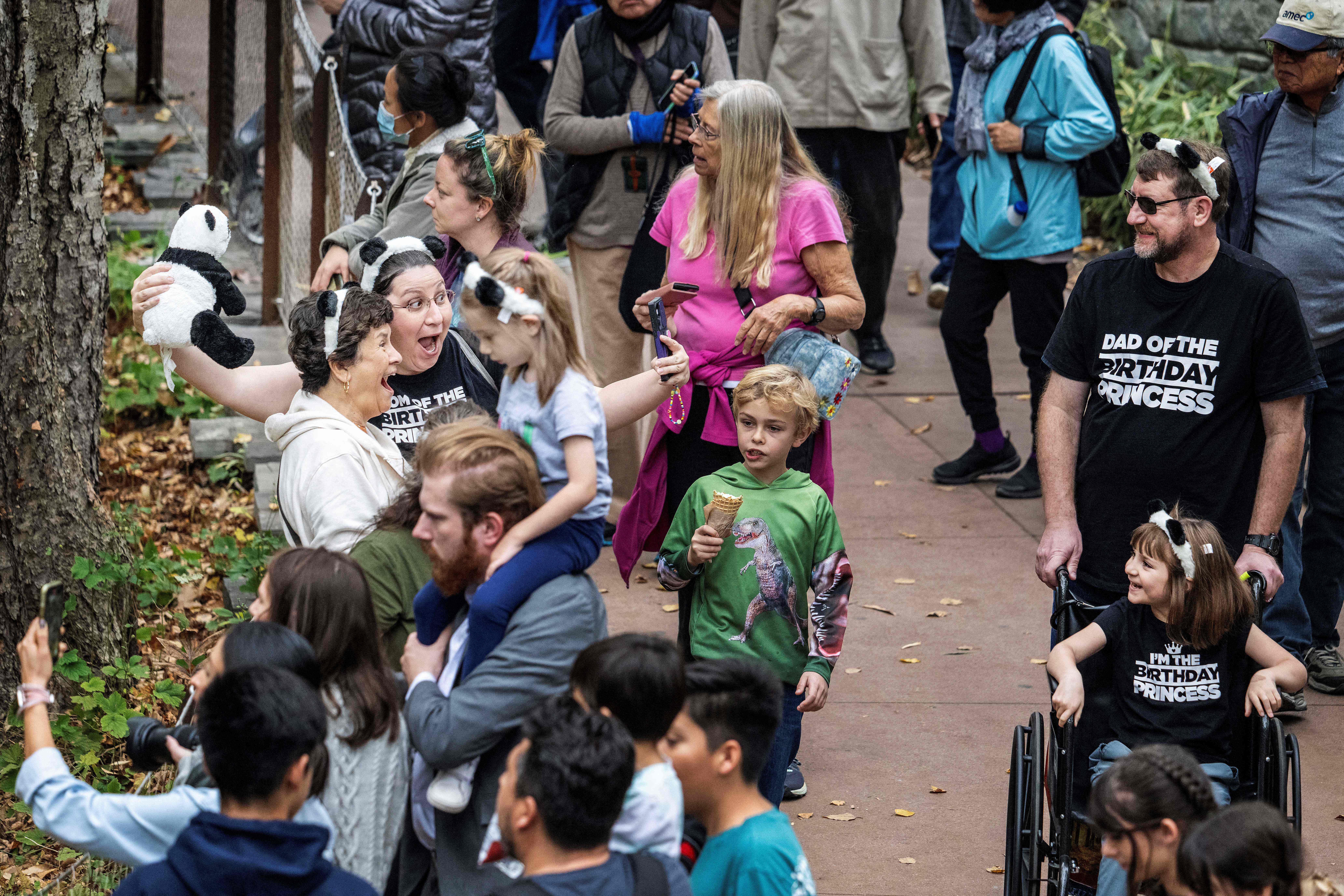 PHOTOS: Pandas bid D.C. farewell after decades at National Zoo – NBC4 ...