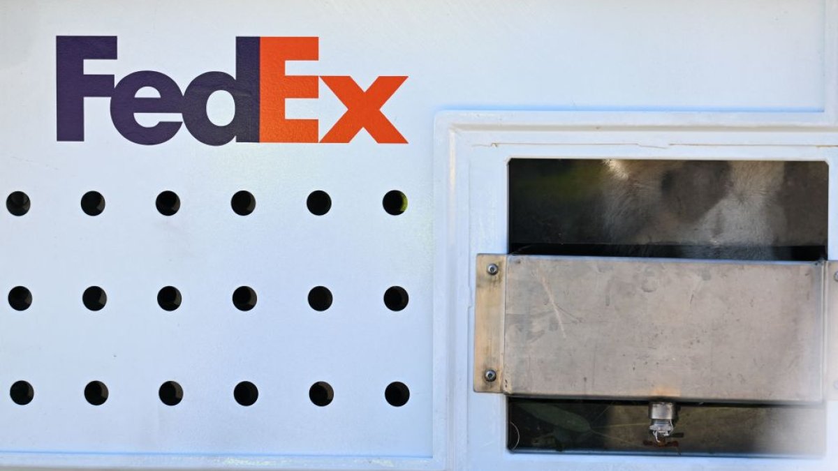 National Zoo pandas leave DC in emotional goodbye – NBC4 Washington