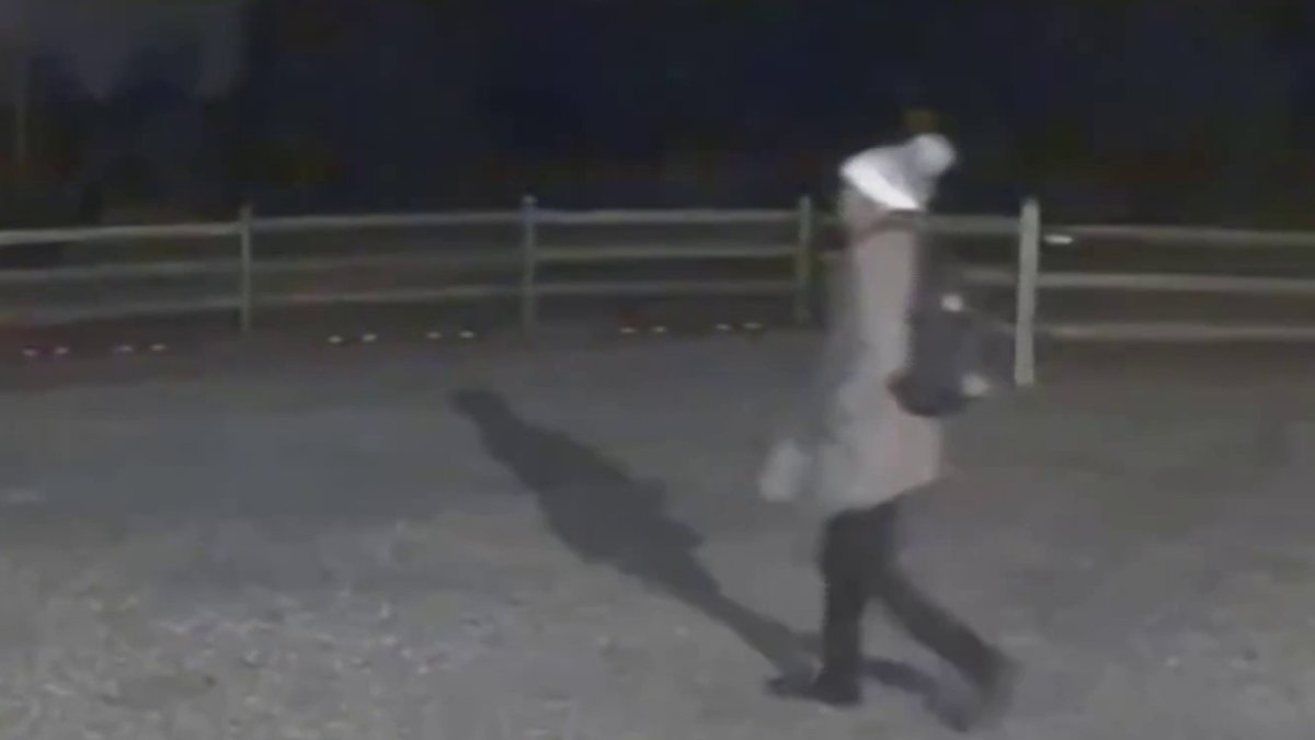 Serial Burglary Suspect Arrested Again In Fairfax County Nbc4 Washington