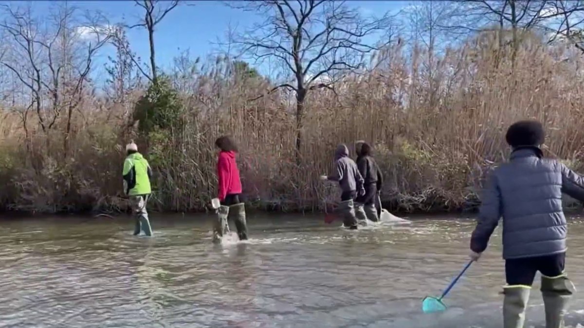 Chesapeake Bay Foundation teaches Maryland teens about their ...