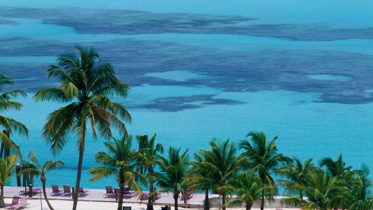 American woman missing after husband says she fell overboard in Bahamas ...