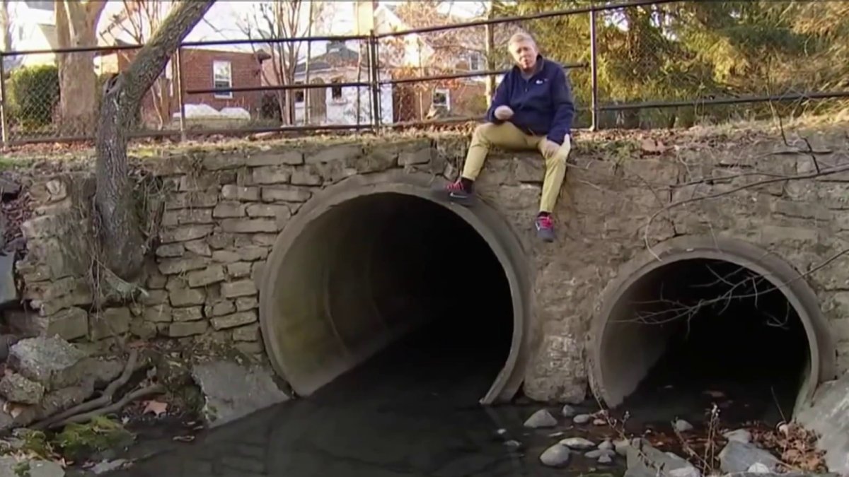 How road salt runoff harms DC area waterways – NBC4 Washington