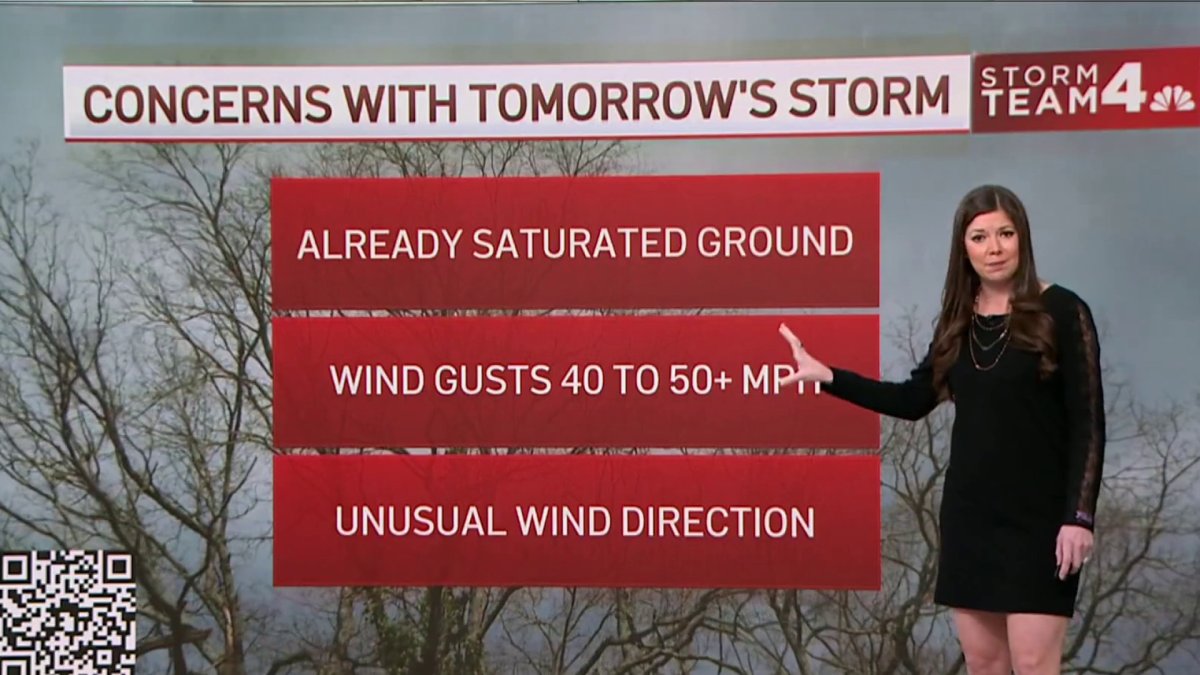 Storm Team4 forecast: Jan. 8, 2024, early evening – NBC4 Washington