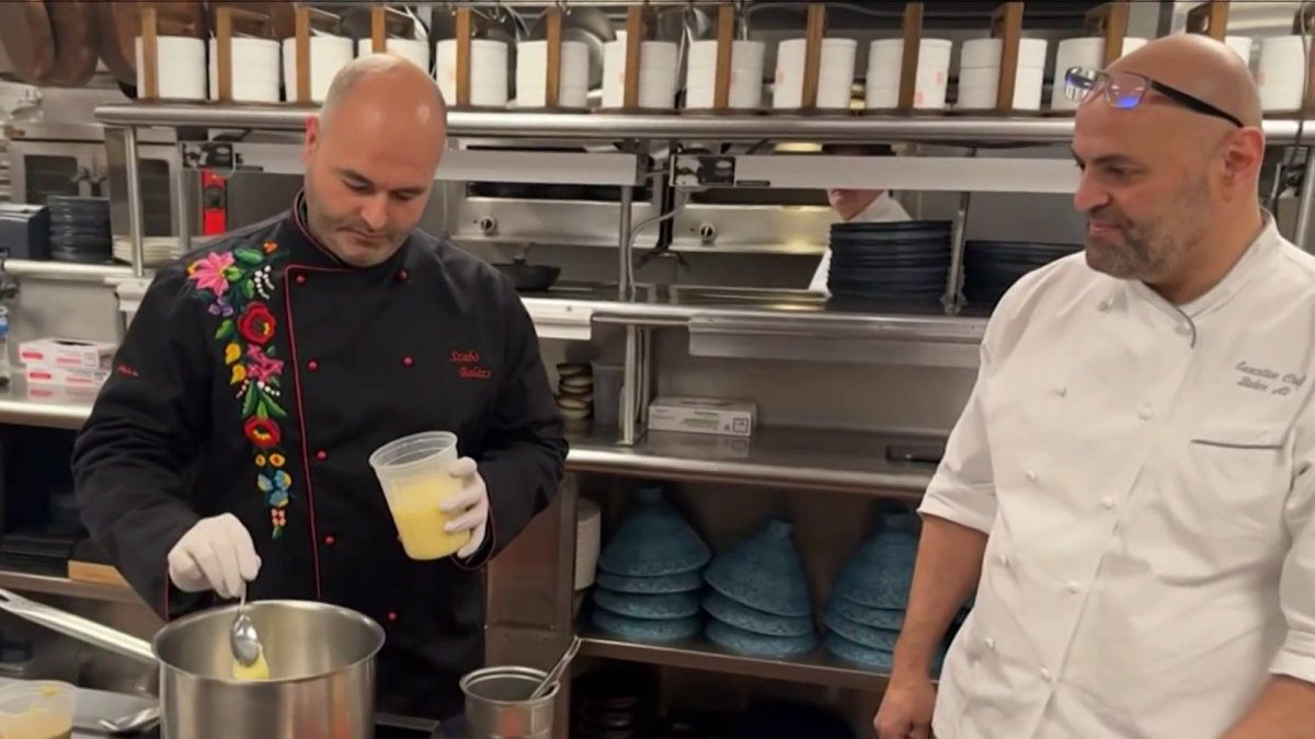 Gerrard Street Kitchen, Hungarian embassy chef debut unique ...