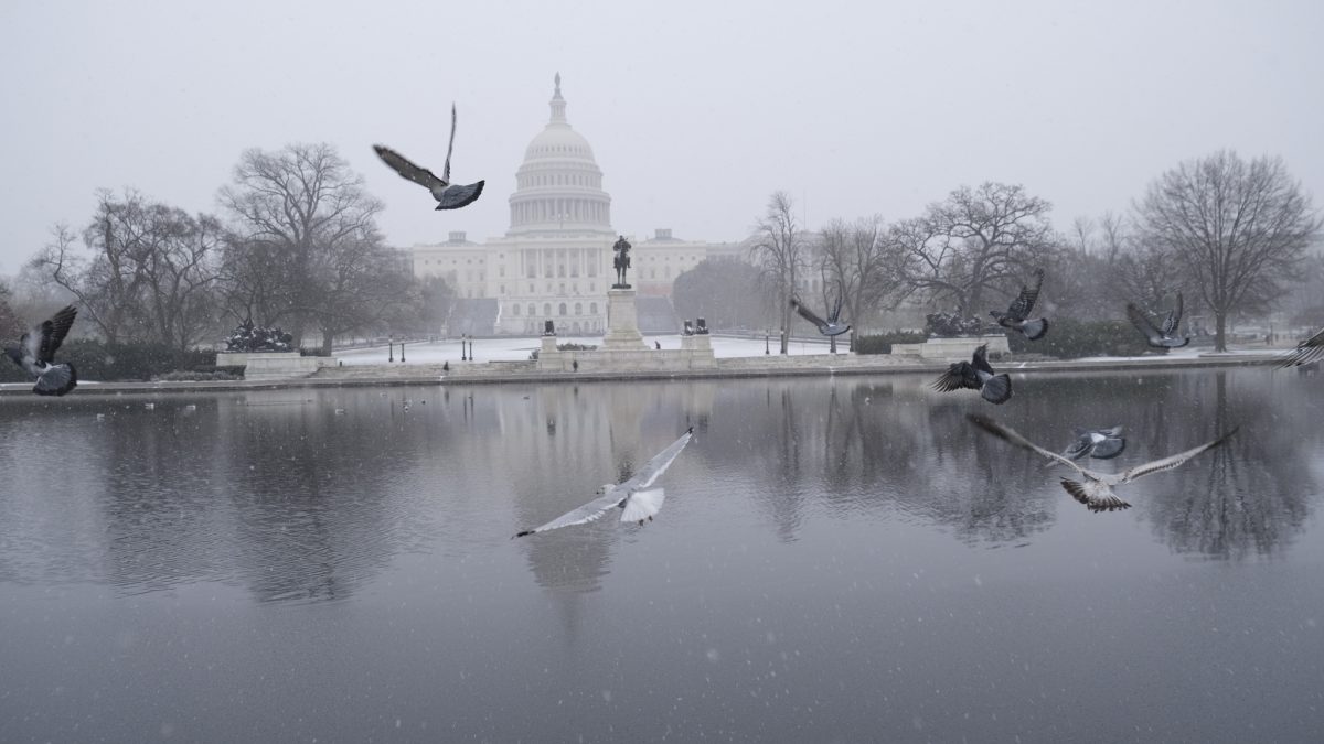 SEE IT: Winter storm covers DC area with snow – NBC4 Washington