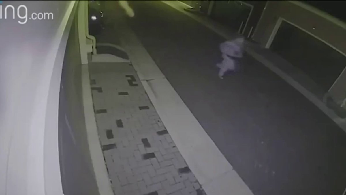 Alexandria Police Search For Man Who Dragged Woman Into Alley In