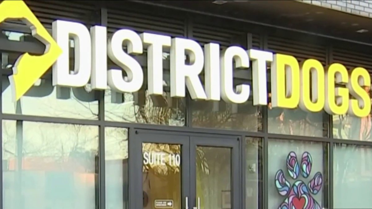 District Dogs fires employee accused of hitting, killing dog at Navy ...