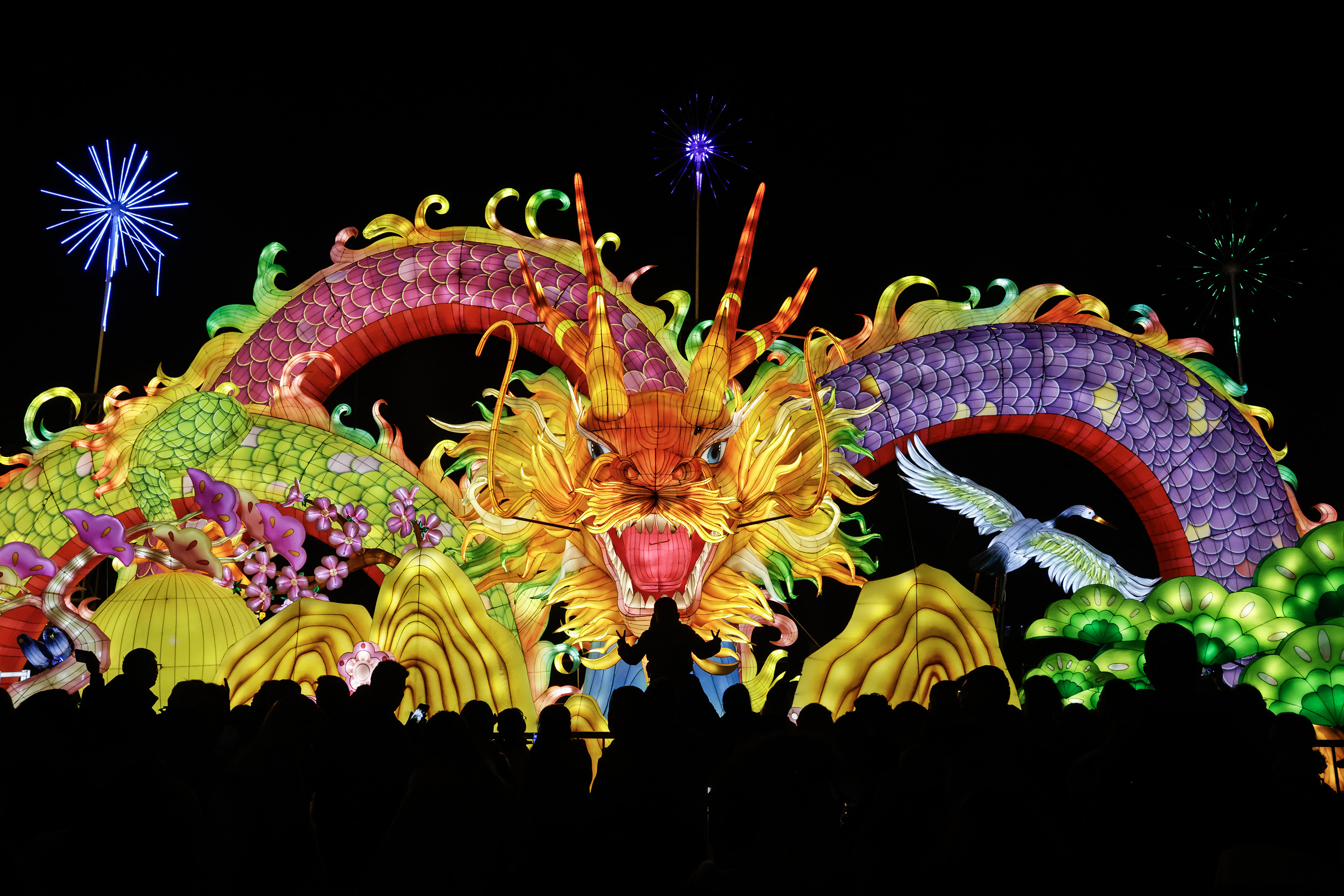 The Lunar New Year of the Dragon flames colorful festivities across ...